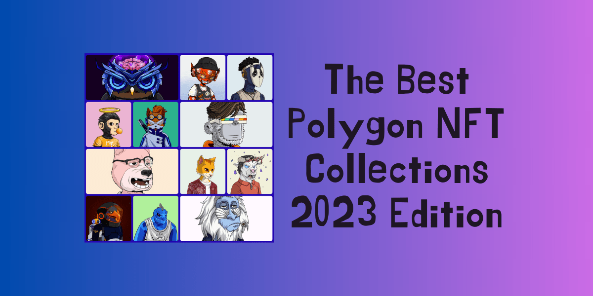 The Best Polygon NFT Collections & Communities to check out – 2023 Edition